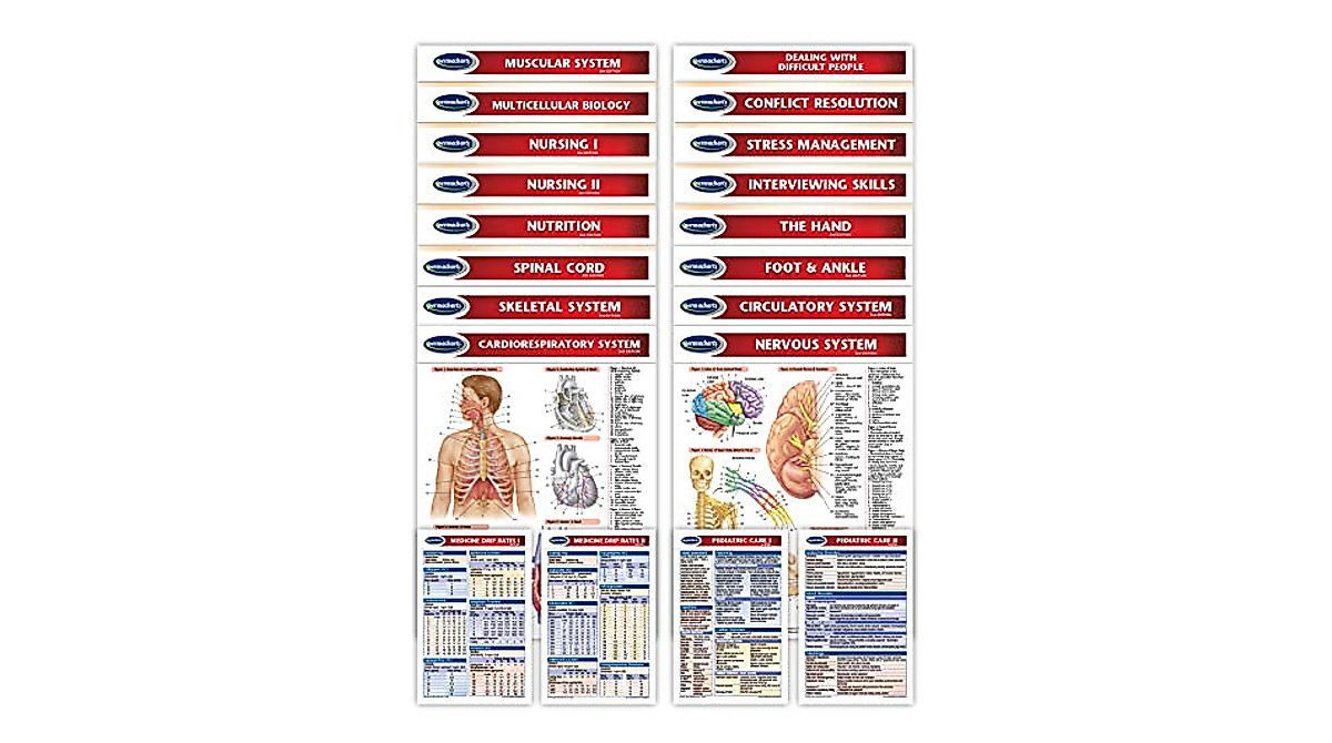 Nursing Year 1 Quick Reference Guide - 20 Chart Bundle
