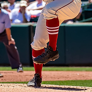 TCK Performance Baseball/Softball Socks (Black/White/Scarlet, Small)