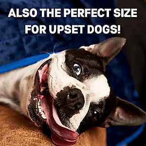 5lb Weighted Blanket for Youth 40 lbs + and Adults. Cotton and Minky Dots, 36x48 in Throw Blanket Soft, Reversible, Machine Washable. Lap Blanket for Rest, Reading, Travel. Pink