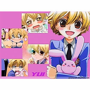 Ouran High School Host Club Pink Rabbit Plush Doll 16" Bun Rabbit of Haninoduka Mitsukuni