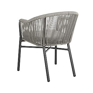 SAFAVIEH Outdoor Collection Nicolo Grey Rope Chair (Set of 2)