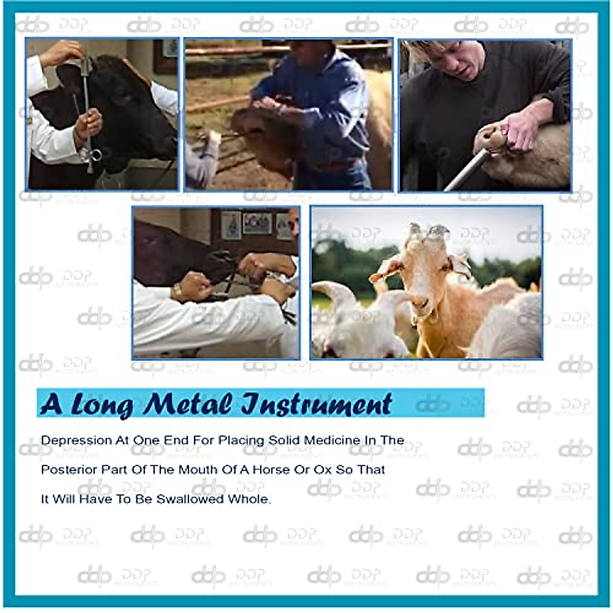 DDP Balling Gun Livestock Bolus Boluses Capsule Small Large Animal 17" Veterinary Stainless Steel Medication Pill Pusher Sheep Cattle Horse Cow Sheep Calf Colt 1" Diameter Plastic Vinyl Head Spring Cl