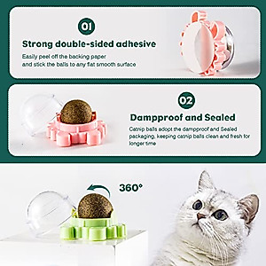Catnip Ball Toy for Cats Wall 4 Pack Cat Nips Organic Ball Edible Kitten Toys Interactive Cat Lick Chew Toy Indoor Cat Toy Treats for Cat Teeth Cleaning Relieve Cat Anxiety