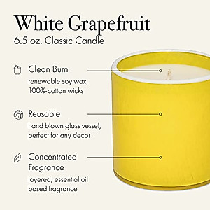 LAFCO New York Classic Candle, White Grapefruit - 6.5 oz - 50-Hour Burn Time - Reusable, Hand Blown Glass Vessel - Made in The USA