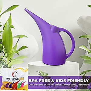 KP KOOL PRODUCTS (1 Pack) 1/2 Gallon Plant Watering can - Mini Watering can - Indoor Watering can - Watering can for Outdoor Plants - Flower Watering can - BPA Free (Blue)