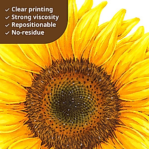 DECOWALL DS9-8062 Sunflowers with Butterflies Wall Decals Stickers Room décor Bedroom Living Art Removable Butterfly Home Decal Flower Inspirational Mural Decorations DIY Baby Garden Sunshine