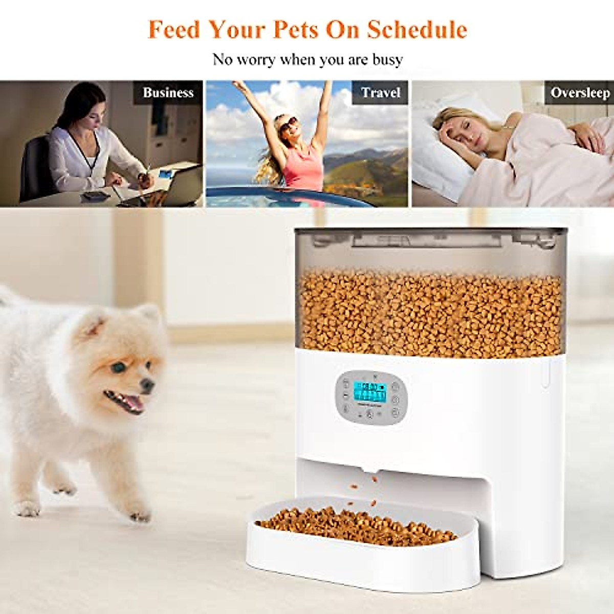 HoneyGuaridan Automatic Cat Feeder, 6L Timed Cat Feeder with Desiccant Bag for Pet Dry Food, Dual Power,10s Voice Recorder, 0-24 Portions 6 Meals per Day, Travel Supply Feeder for Cats and Dogs
