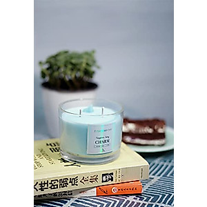 Impressive Natural Soy Lavender&Lemon Candles for Home Scented，Medium Jar Candles ，Candles Gift ，10.5oz 35Hour Burn Time 2-Wicks, Blue