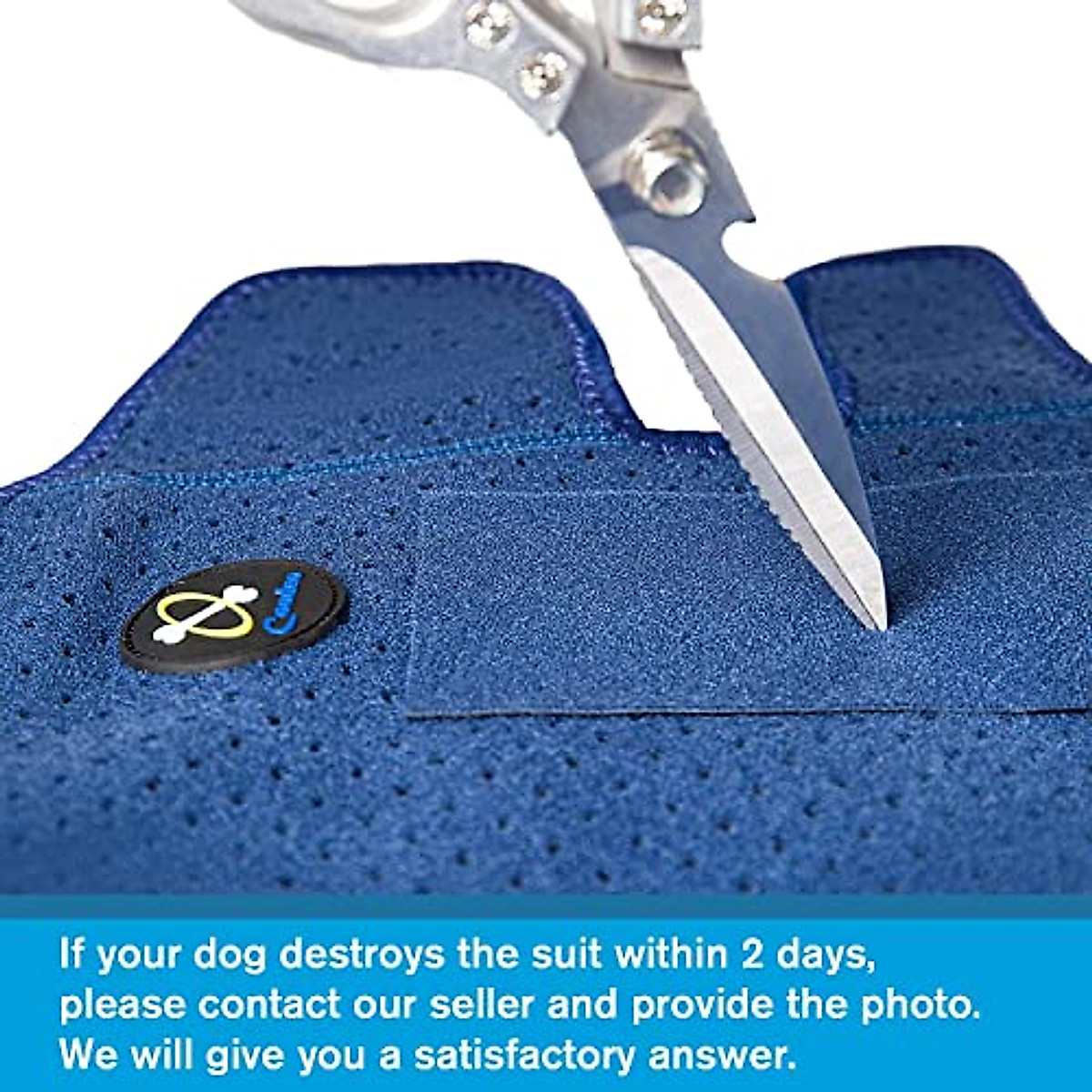 COODEO Dog Surgery Recovery Suit, Waterproof Recovery Suit for Dogs, Surgery Suit for Wounds Protect, Cone Alternative After Surgery, Dog Onesie for Surgery Female or Male (Blue, 2XL)