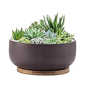 EPFamily 8 Inch Succulent Planter with Drainage Hole and Saucer for Plants Round Shallow Bonsai Planter Pot Decorate Home Office and Indoor