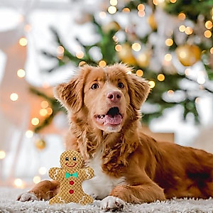 Stuffed Christmas Dog Toys, Cute Christmas Themed Squeaky Dog Toy, Puppy Gingerbread Man Chew Toys, Puppy Chew Santa Toys, Puppy Chew Toys Soft Pet Toys Tough Dog Chew Toys for Aggressive Chewers