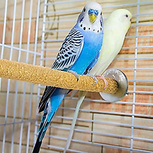 10 Pieces Bird Perch Stand Parrot Stand Paw Grinding Stick Parrot Perch Rough Surfaced Bird Cage Stand Colorful Wooden Parakeet Perch Bird Toys for Cockatiels Bird Cage Accessories