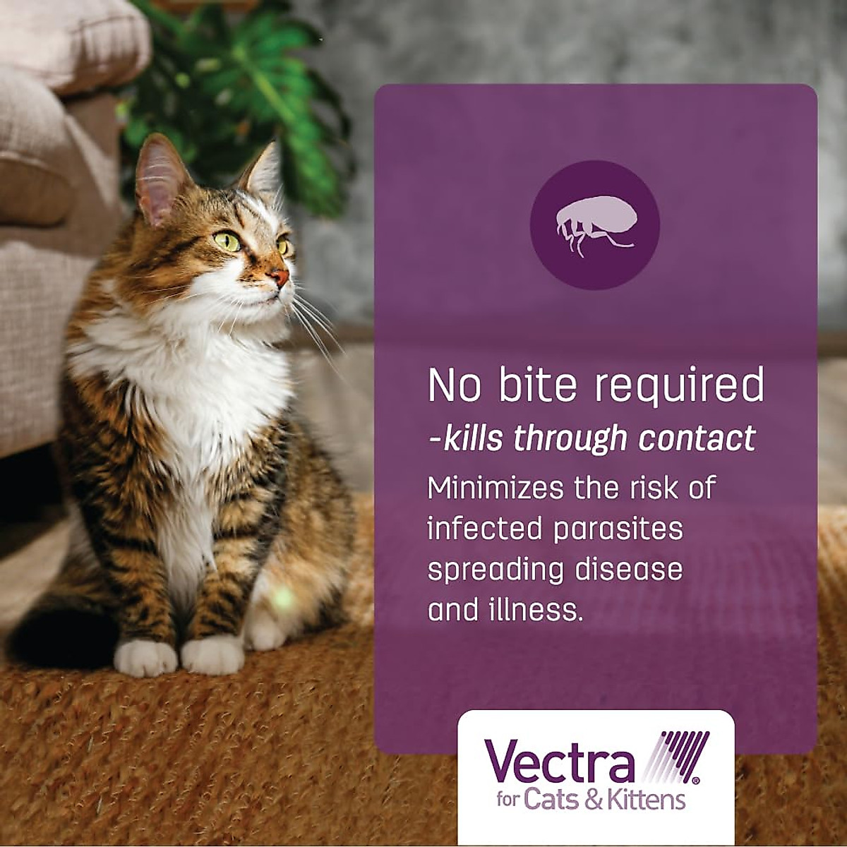 Vectra Tan for Cats and Kittens 2-9 Pounds 6 Doses