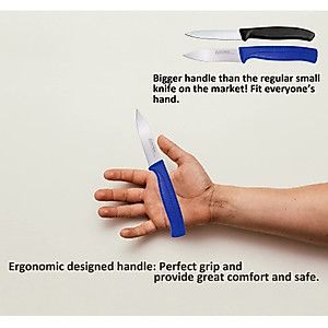 Paring Knife - MATTSTONE HILL 3.5 Inch Paring Knife, Small Kitchen Utility Knife, Premium Stainless Steel Vegetable Knife, Bule Handle