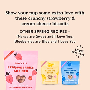 Bocce's Bakery All-Natural, Seasonal, Strawberries are Red Dog Treats, Wheat-Free, Limited-Ingredient Crunchy Biscuits Inspired by Valentine's Day, 5 oz Bag