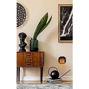 Hunter 750W Wall Mount Space Heater with Remote Control-12 Hour Timer, 1 Heat Setting, Black