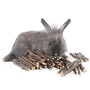 William Craft Apple Sticks Pet Chew Toys Treats for Chinchilla Guinea Pigs Rabbits Squirrel Hamster Bunny