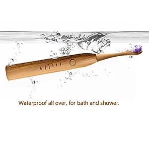 Circle Elephant Biodegradable Electric Natural Bamboo Sonic Toothbrushes Have Rechargeable&Replaceable Bamboo Toothbrush Heads, Threaded BPA-Free Soft Bristles in Color. Perfect Trendy Giftset.