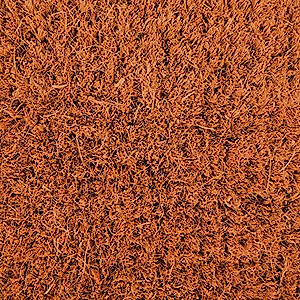 DII Natural Coir Outdoor Doormat, Fall & Thanksgiving Seasonal Mat, 17x29", Give Thanks Pumpkin