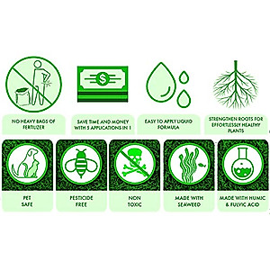 Nature’s Lawn & Garden – Lawn Force 5 Phosphorus Free – Liquid Lawn Fertilizer, Aerator, Dethatcher, with Humic & Fulvic Acid, Kelp Seaweed, and Mycorrhizae – Quart with Hose End Sprayer Attachment