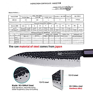 FINDKING Dynasty Series Japanese Chef Knife, Professional Kitchen Knife, 9Cr18MoV High Carbon Steel Blade, African Rosewood Octagonal Handle, Sharp, for Meat Cutting, 8 Inches
