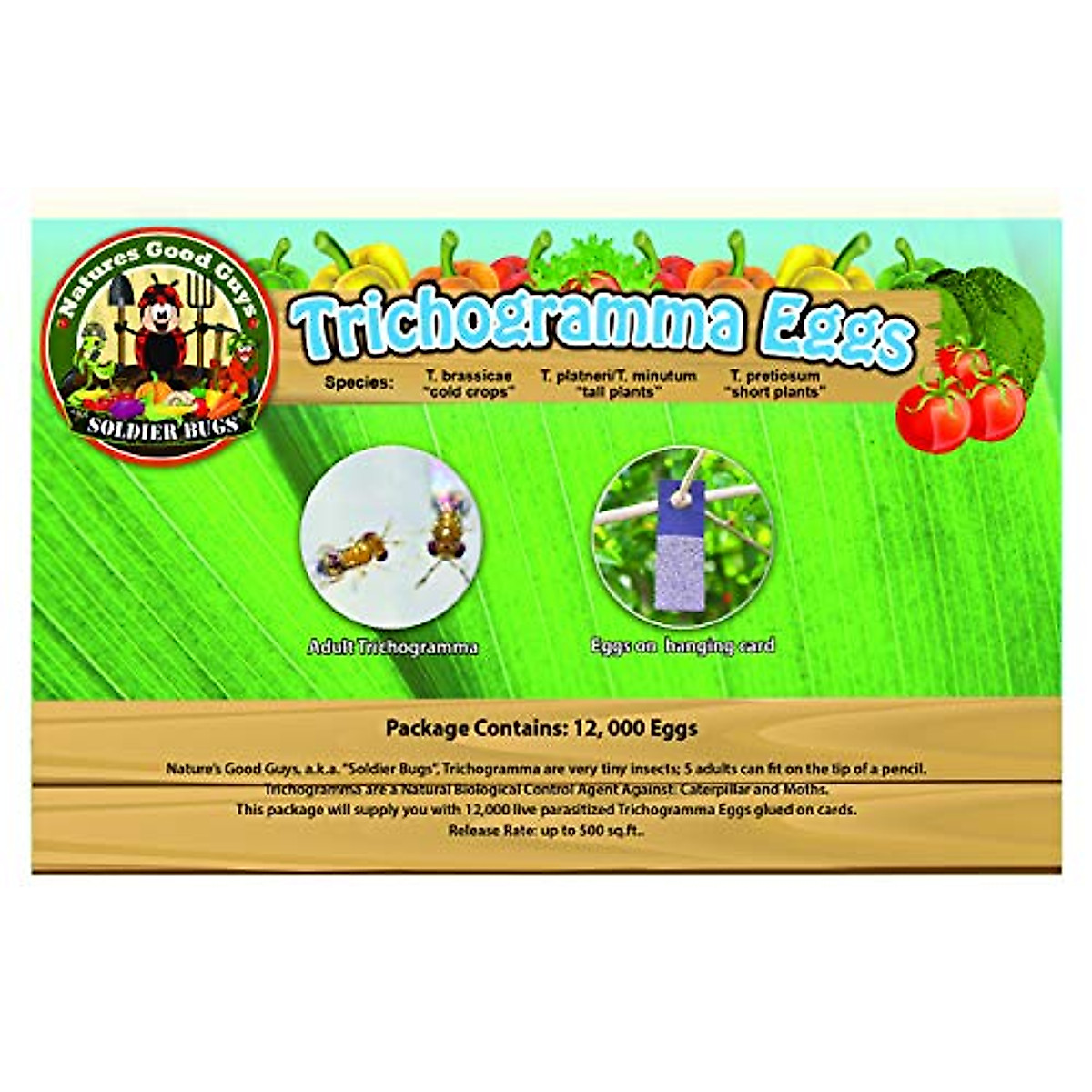 Bug Sales Trichogramma 3 Squares/ 12,000 Eggs