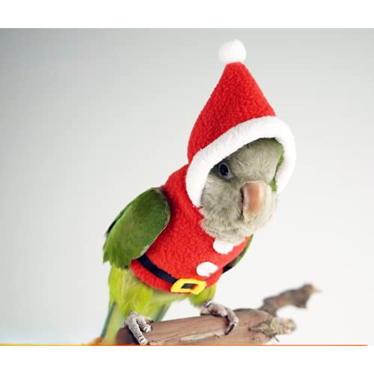 Bird Clothes Birds Flight Suit, Christmas Hoodie for Parrots Cockatiel Sun Conure Christmas Party Cosplay Photo Prop Bird Shirt Small Animals Apparel (Without Diaper,Green Quaker)