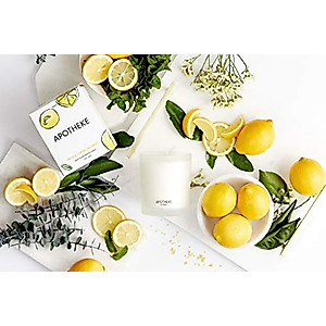 APOTHEKE Market Collection Luxury Scented Jar Candle, Meyer Lemon & Mint, 11 oz - Lemon, Spearmint, Jasmine & Eucalyptus Scent, Strong Fragrance, Aromatherapy, Lasting, Hand Poured in USA, Soy Wax