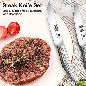 HOSHANHO 8 Pieces Knife Set with Magnetic Knife Holder, Ultra Sharp Stainless Steel Kitchen Knives Set, Professional Chef Knife Sets with Ergonomic Handle