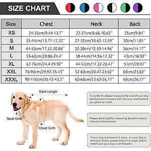 ASENKU Plaid Dog Winter Coat, Dog Fleece Jacket Plaid Reversible Dog Vest Waterproof Windproof Cold Weather Dog Clothes Pet Apparel for Small Medium Large Dogs Red M