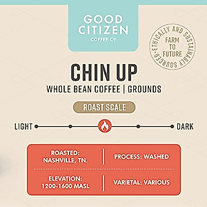Good Citizen Coffee Co. Chin Up Whole Bean Coffee, Medium-Roast Coffee Blend, 12 Ounces, 340 Grams