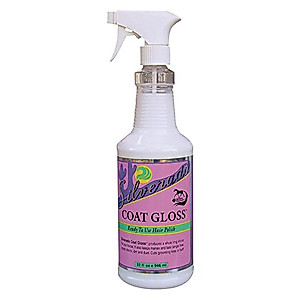 Healthy Haircare Product Silverado Coat Gloss Qt