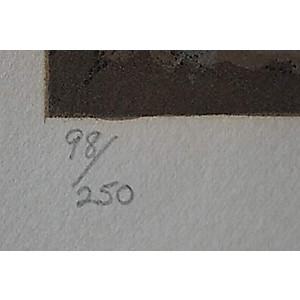 Aliyah The Wailing Wall