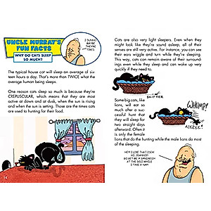 Happy Birthday, Bad Kitty (full-color edition)