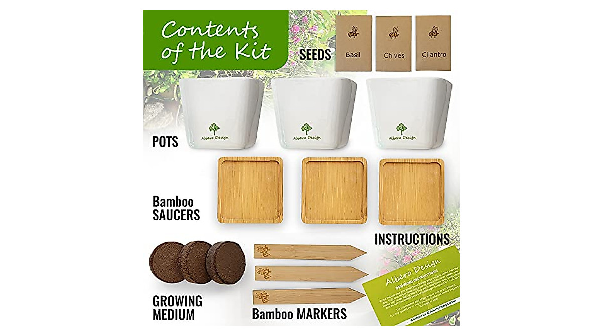 Indoor Herb Garden Kit - Grow Fresh Herbs in Your Kitchen