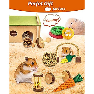 OVERTANG Hamster Toys, Guinea Pig Toys, 18 Pcs Wooden Hamster Toy Set Natural Apple Wood Small Animal Chew Molar Toys for Teeth for Rabbit, Chinchilla, Gerbils, Rats Exercise Accessories