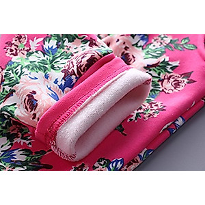 Spring Autumn Winter Little Baby Girls Clothing Set Warm Velvet Hoodie and Pants (18-24Months, Red)