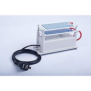 Ozone Generator air purifier 10000 mg/h Equal to 10g/h ozone plates ozone maker machine 110V
