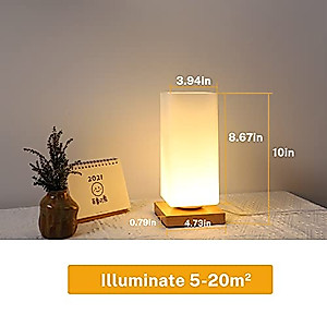 Floresita Vase Lamp Table Lamp USB Charge Flower Lamp Vase Table Lamp Dimmable Bedside Lamp Frosted Glass Shade with Wood Base for Bedroom Living Room Office Desk