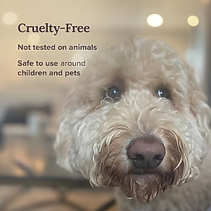 Magnificent 101 Long Lasting Taurus Zodiac Candle | 6 Oz - 35 Hour Burn | Peach Vanilla Scented Soy Wax Candle | Harness The Power of Astrological Signs to Find Your Strength