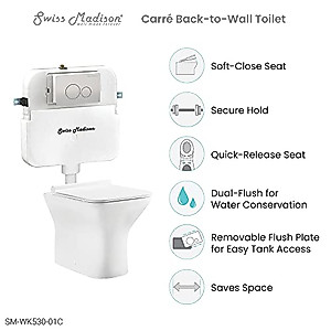 Carre Back to Wall Toilet Bowl Bundle in Glossy White
