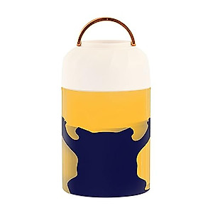 CUPADA Cute Black Cat Food Jar, Scratch Yellow Insulated Hot Food Jars Vacuum 17OZ with Folding Spoon for Work Trip Picnic Camping