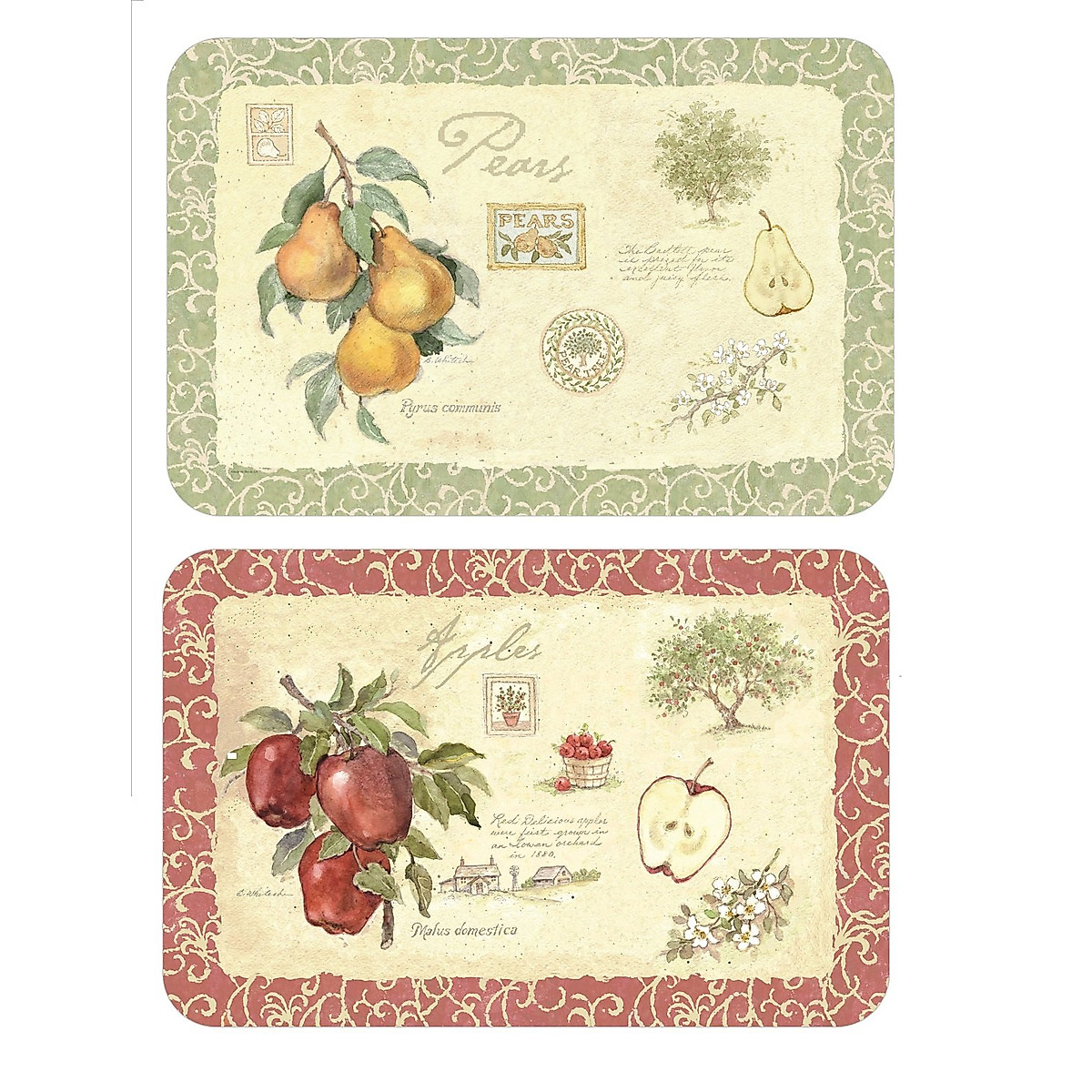 Wipe-Clean Reversible Plastic Placemats - Set of 4 - Old Orchard Apple/ Pear