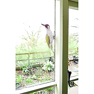 Quote Stickers Simulation Green Wall Stickers Indoor and Outdoor Decoration Peal Wall Stickers