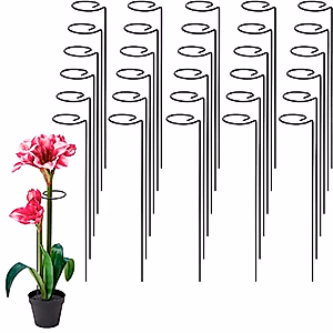 HOZEON 30 Pack 15.7 Inch Plant Support Stakes, Garden Single Stem Flower Plant Support, Plant Cage Support Ring Plant Sticks for Single Stem Flowers, Amaryllis, Tomatoes, Orchid, Lily, Green