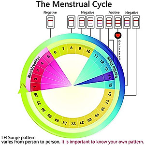 Wondfo Ovulation Test Strips - Women Fertility Tracking and Pregnancy Planning with Cycle-Detecting LH Surge - Highly Sensitive and Fast Result at Home Kit (50 Count) - 25 mIU/mL