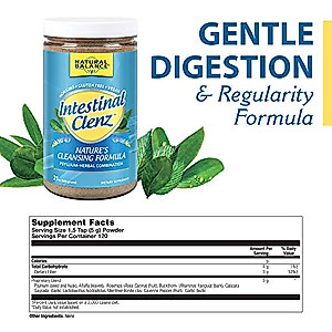 Natural Balance Intestinal Clenz Psyllium Herbal Cleansing Powder Healthy Digestion, Detox & Regularity Supplement No Gluten 21oz, 120 Serv.
