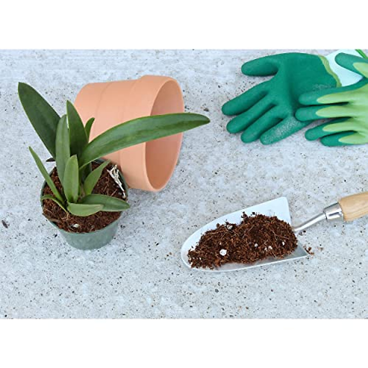 Terrarium Potting Soil Mix (4 Quarts), w/Blended Filtering Charcoal Custom Made for Terrariums