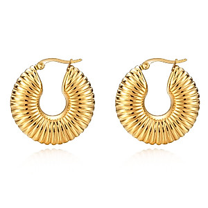 MYNENEY Croissant Earrings Twisted Round Hoop Earrings Chunky Hoop Earrings Silver/Gold Post Earrings Huggies for Women Great Birthday/Christmas Gifts