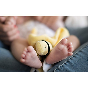 Burt's Bees Baby Unisex Baby Gift Set - Reversible Jersey Blanket, Adjustable Infant Booties & Plush Toy, 100% Organic Cotton Essentials Bundle